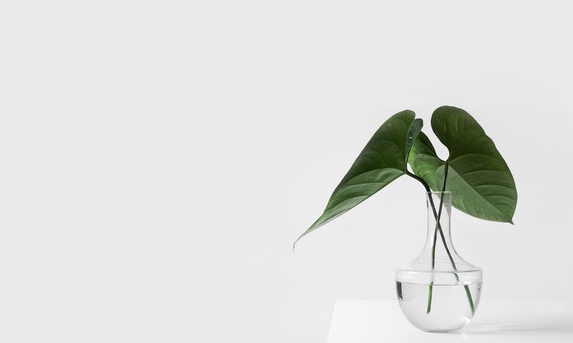 Bankist | When Banking meets Minimalist